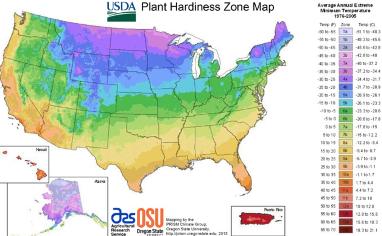 Growing Zone Map Usa United States Map Growing Zone Map Usa United States Map
